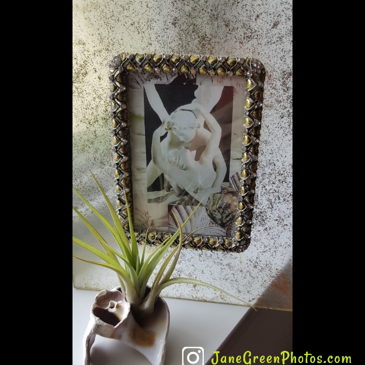 Close Up – Jane Green Photos